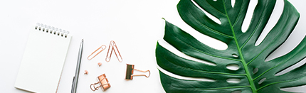 [default] - Pension Scheme - Hays