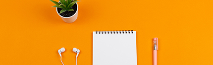 Pension Scheme - Hays